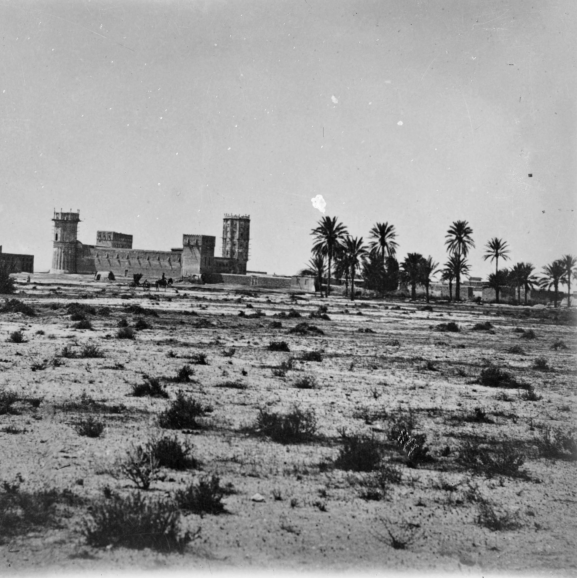 Language – Iranian Genealogy